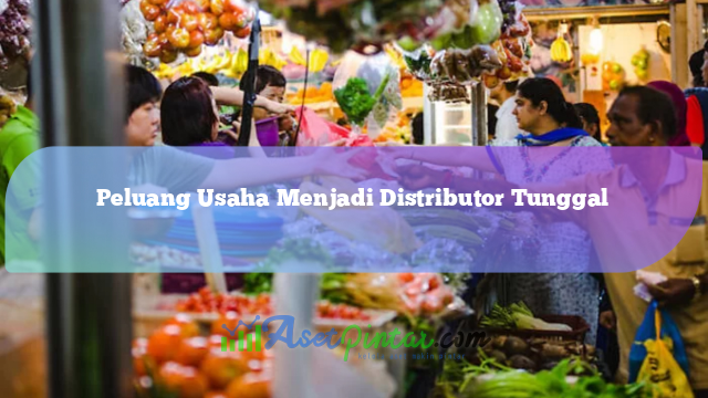 Peluang Usaha Menjadi Distributor Tunggal | asetpintar.com Peluang Usaha Menjadi Distributor Tunggal | asetpintar.com